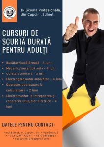 Cursuri - IP Școala Profesională din Cupcini, Edineț